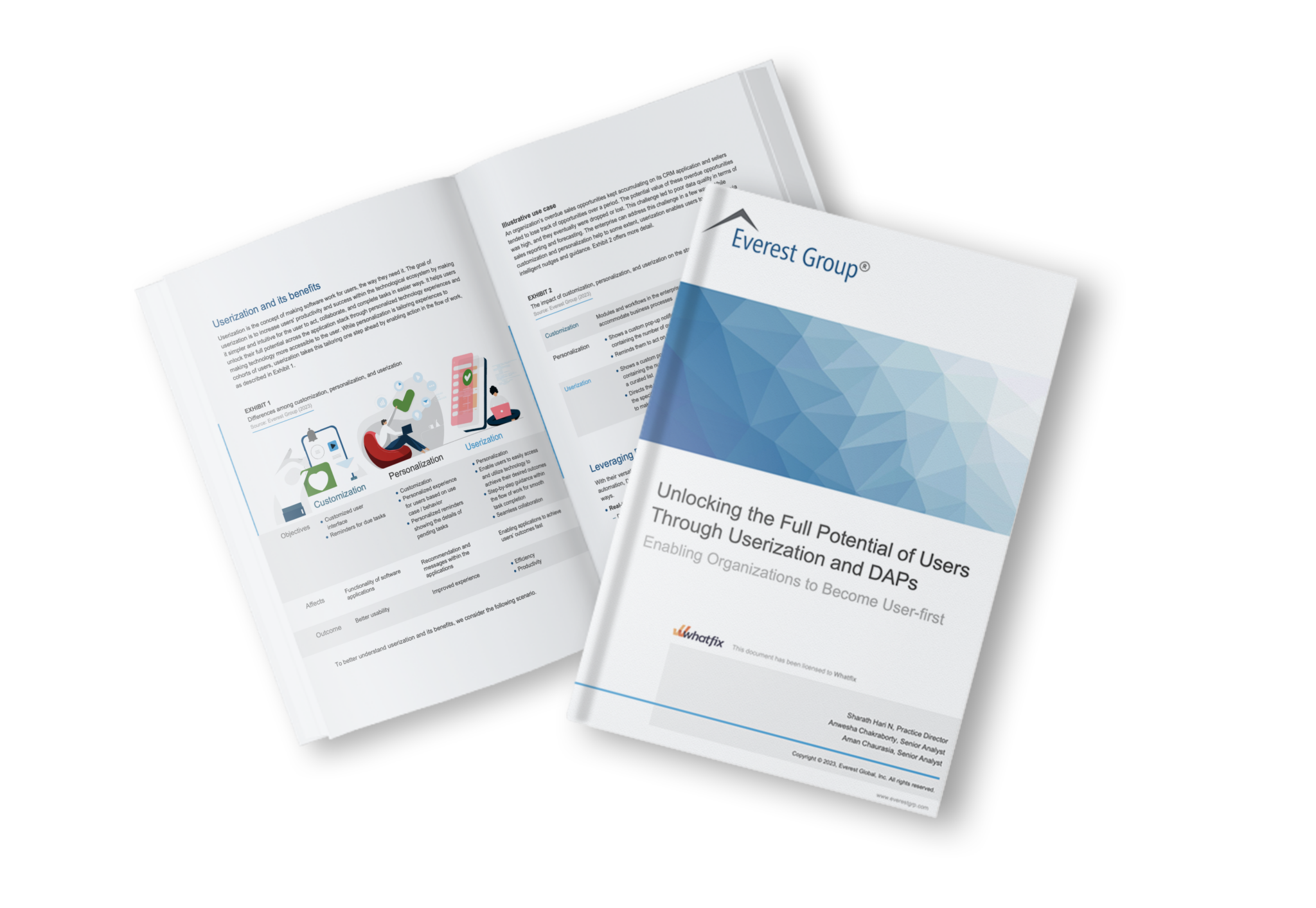 Unlocking the Full Potential of Users Through Userization and DAPs - Whatfix